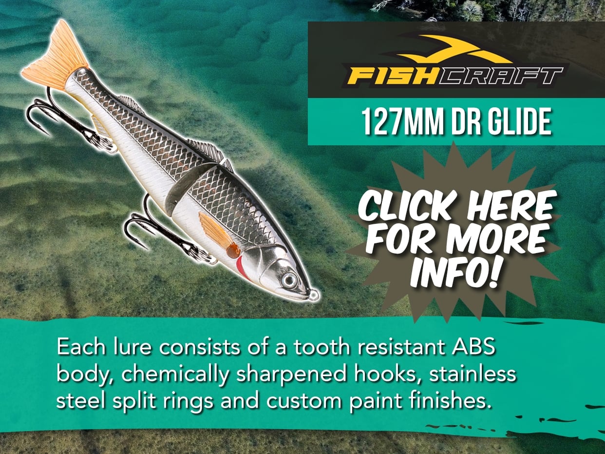 Chasing Flathead with Motackle & Outdoors