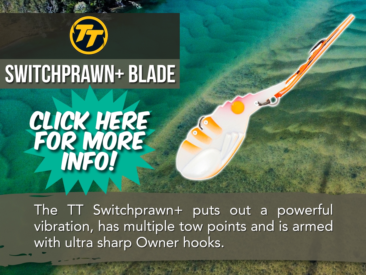 Chasing Flathead with Motackle & Outdoors