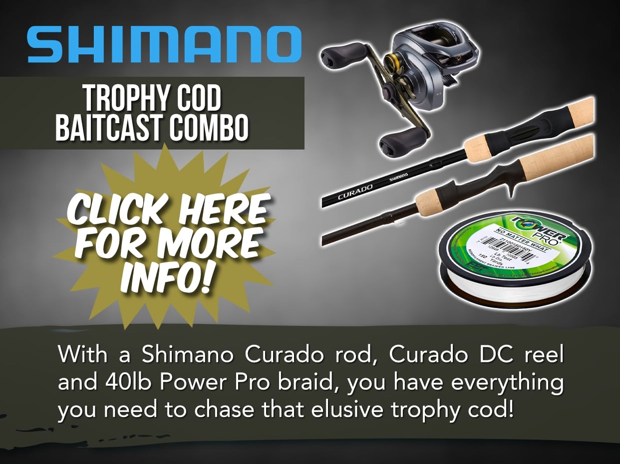 Chasing Trophy Cod with Motackle