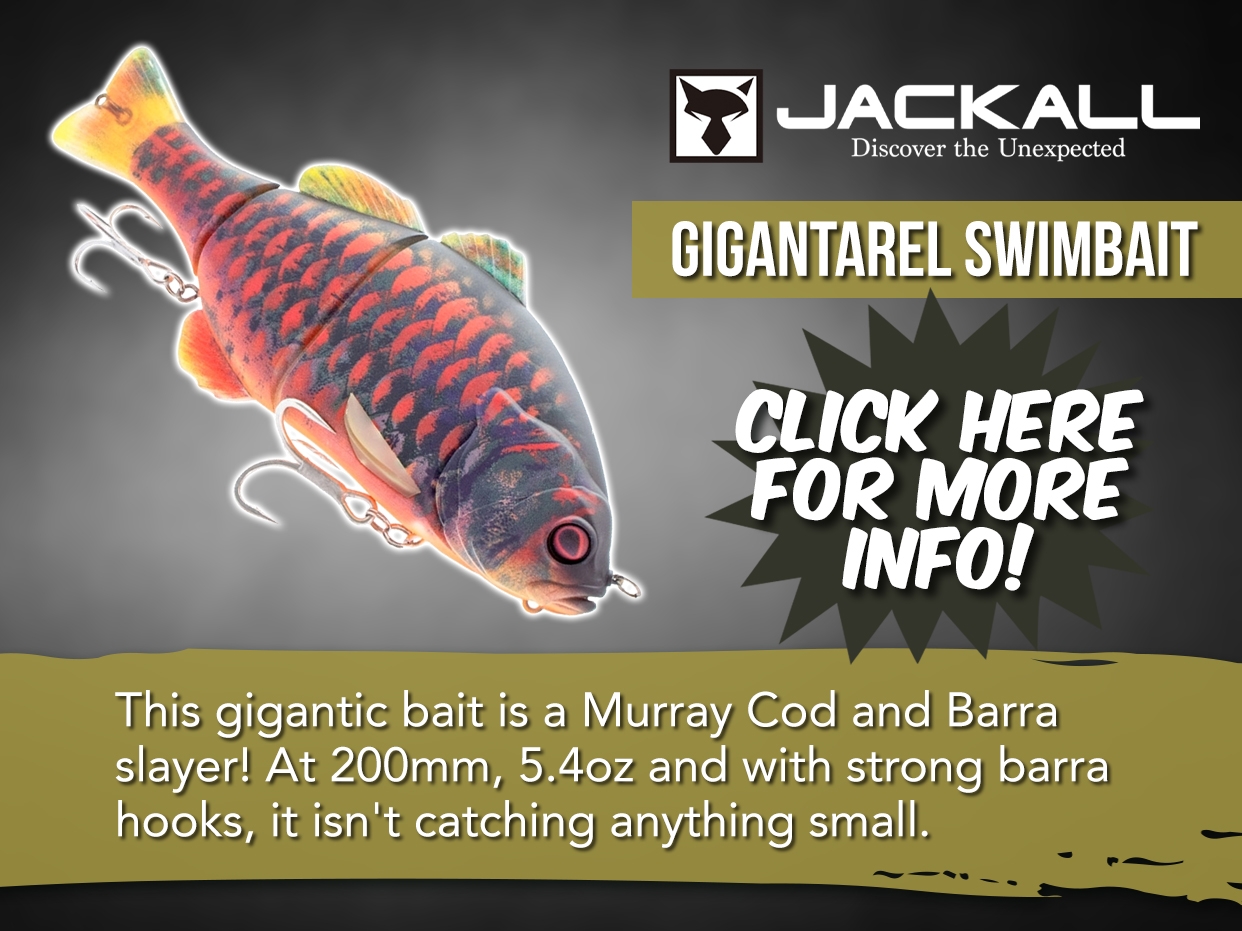 Chasing Trophy Cod with Motackle