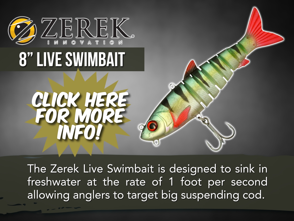 Chasing Trophy Cod with Motackle