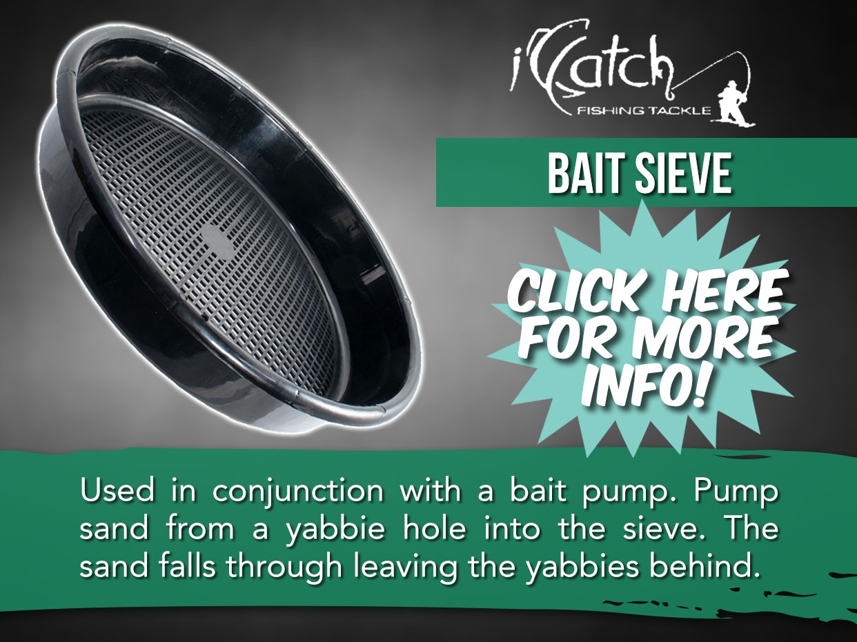 Estuary Species with Motackle